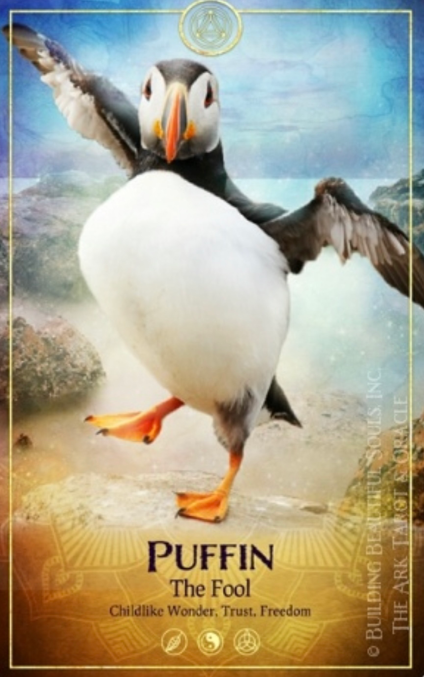 Animal Ally Message - Puffin (The Fool) - Mitchell Osborn