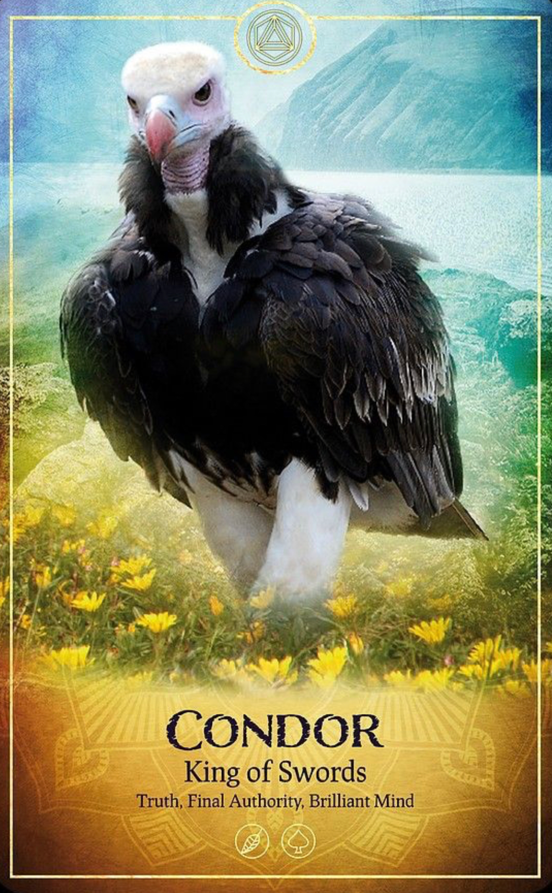 Animal Ally Message - Condor (King of Swords) - Mitchell Osborn